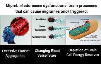 Chronic Migraines & the Superior Efficacy of Puracol Feverfew ...