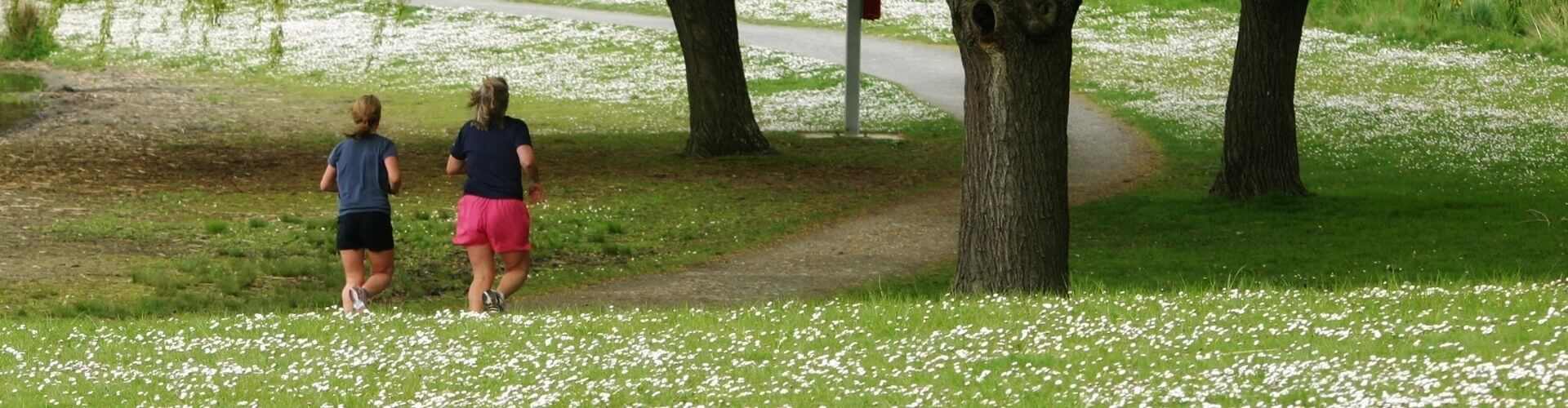 Exercise and Immune System: Does it Boost Immunity? | AKESO