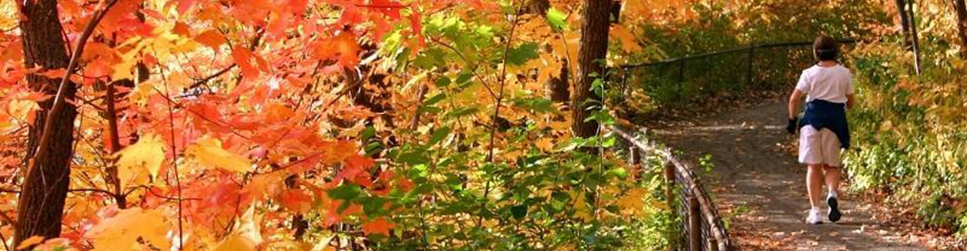 Autumn Wellness Tips: 7 Ways to Stay Healthy This Fall