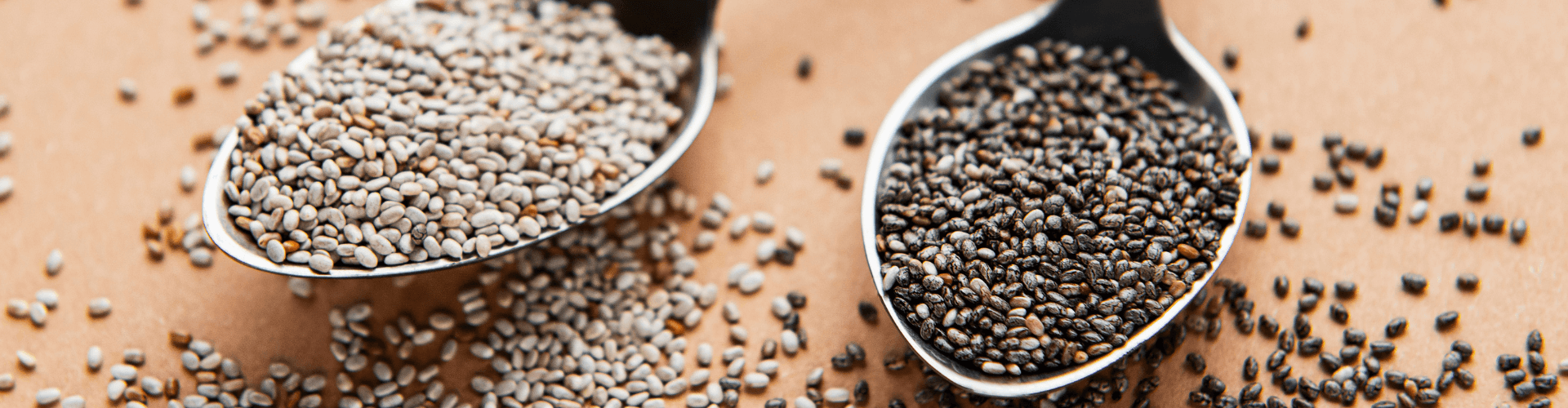 4 Reasons to Start Adding Chia Seeds to Your Food Today